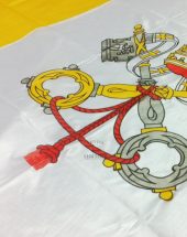 Banderas de Pueblos Originarios: Wiphala - Mapuche - Tehuelche - Casa Cesto